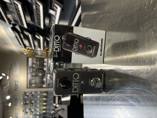 Gear Hunter | TC Electronic - DITTO LOOPER