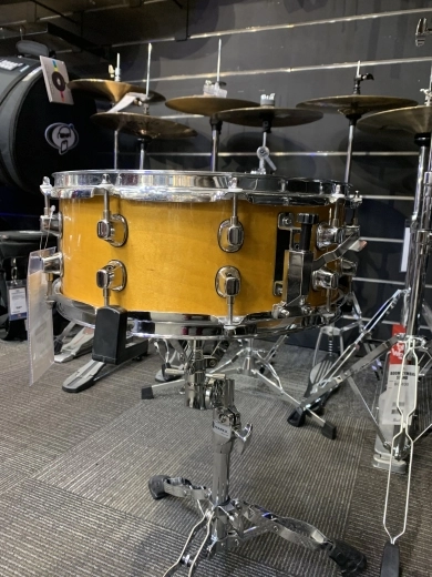 Gear Hunter | Mapex - MPX-MPML4550CNL