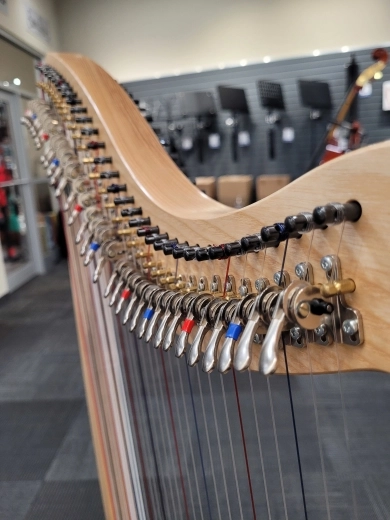 Gear Hunter | Dusty Strings - RAVENNA 34 CAM