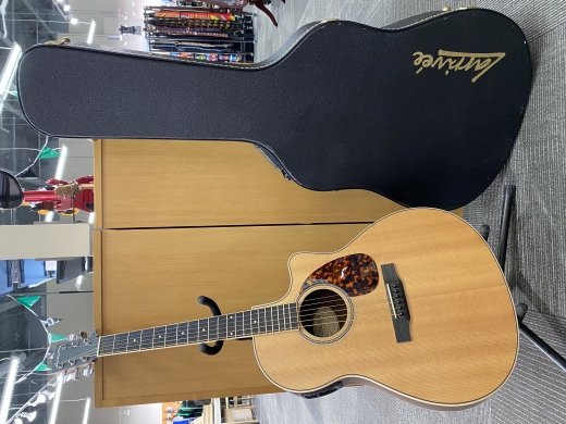 Gear Hunter | Larrivee - LV-03RE