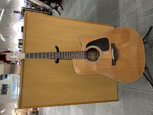 Gear Hunter | Takamine - P1DC