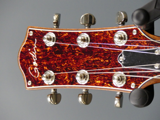 Gear Hunter | Godin Guitars - Radiator