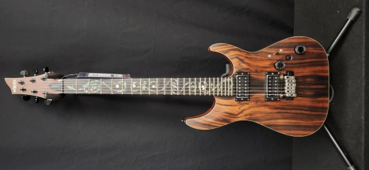 Gear Hunter | SCHECTER C-1 EXOTIC