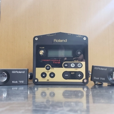 Gear Hunter | Roland - TM-2-HTP