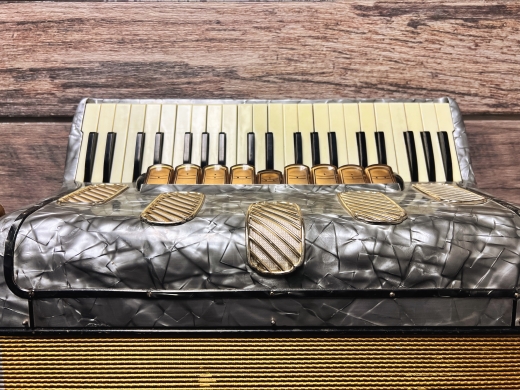 Gear Hunter | CAMILLO ACCORDION